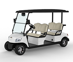 Marshell Electric Golf Carts with CE approved at Factory Price