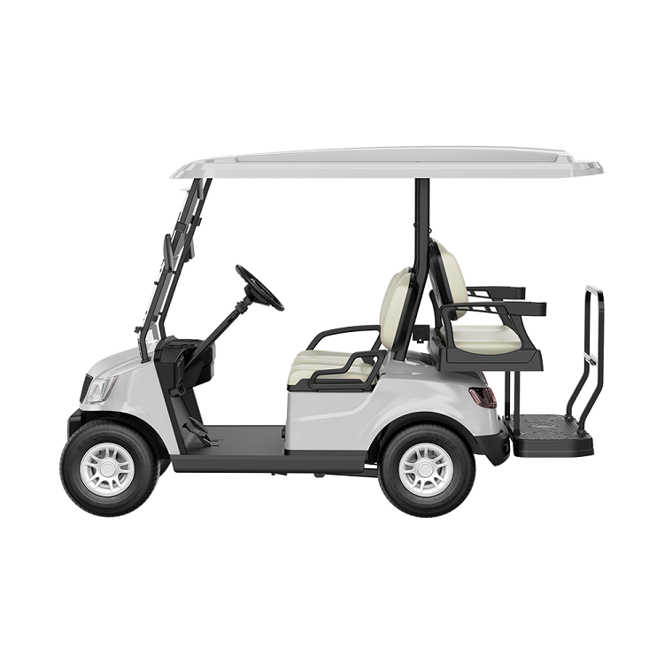 Marshell DG-M2+2--4 Seater Golf Cart with CE